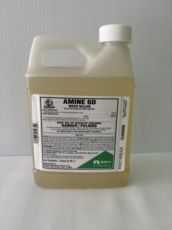 AMINE 6D – Agrocentro RM